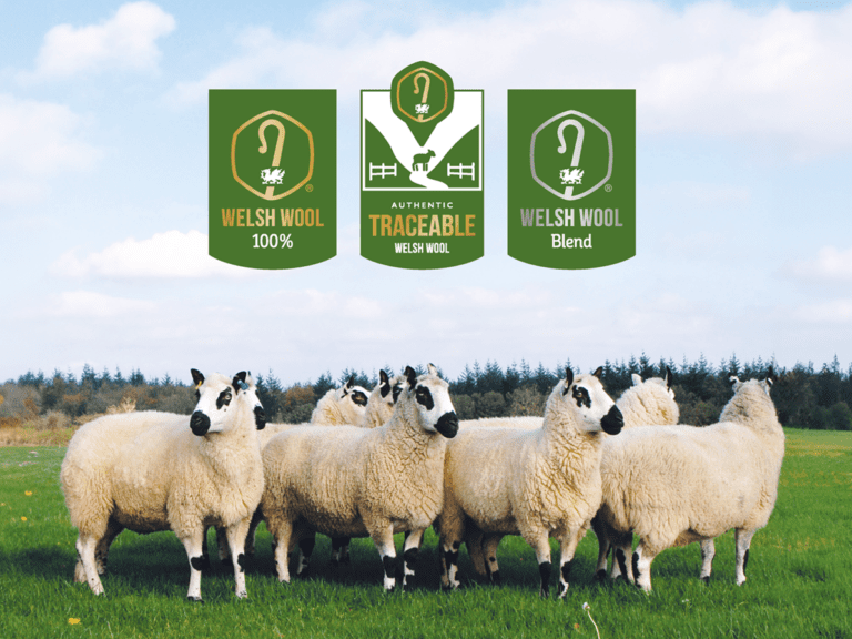 Regional Wool Logos - British Wool