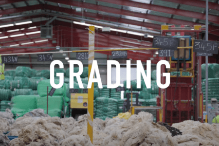 Grading - British Wool