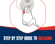 Shearing Information - British Wool
