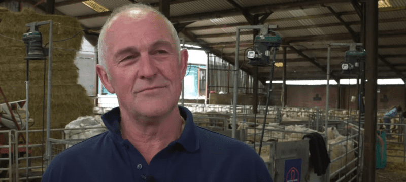 Shearing Information - British Wool