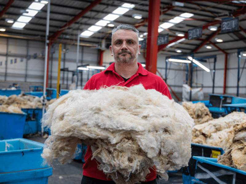 Depot Network - British Wool