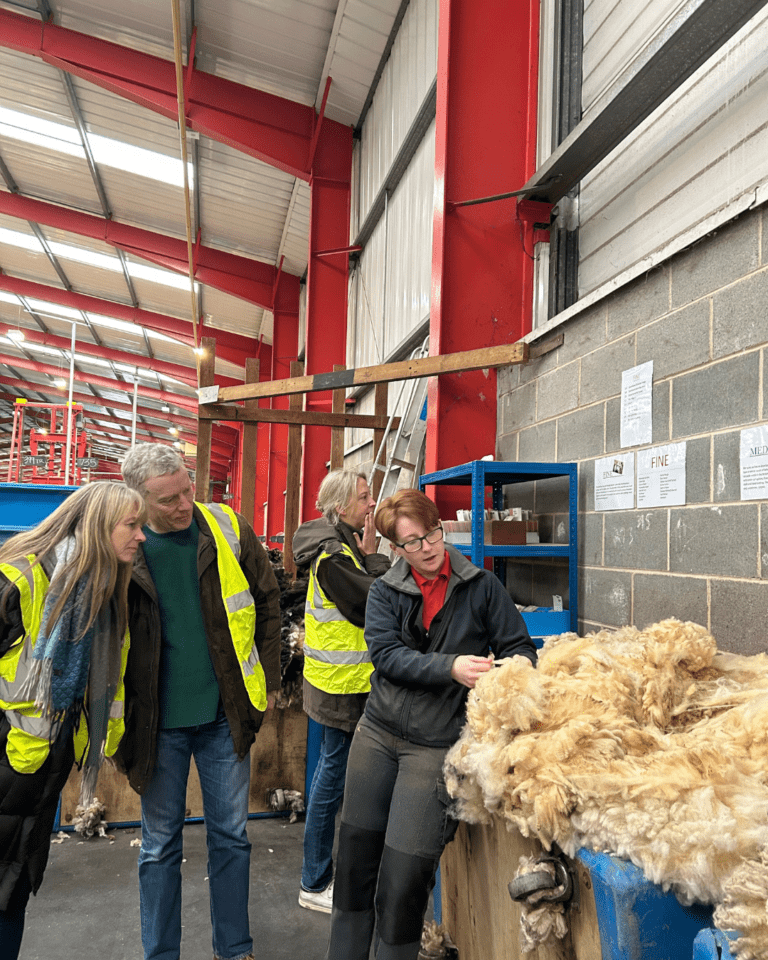 Debunking wool grades - British Wool