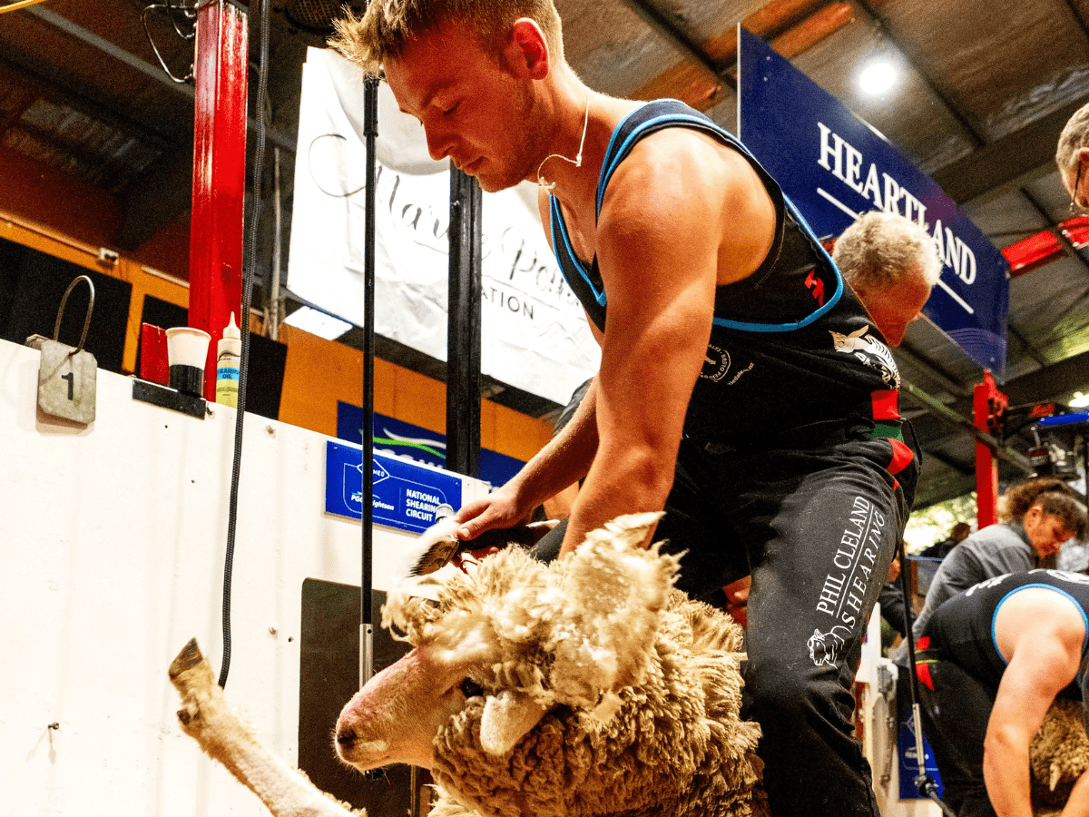 Ben Rowson Jones: From Beginner to Global Shearing - British Wool